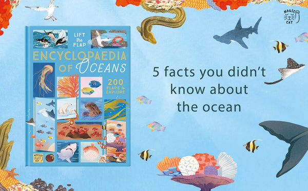 5 facts you didn't know about the ocean – Magic Cat Publishing
