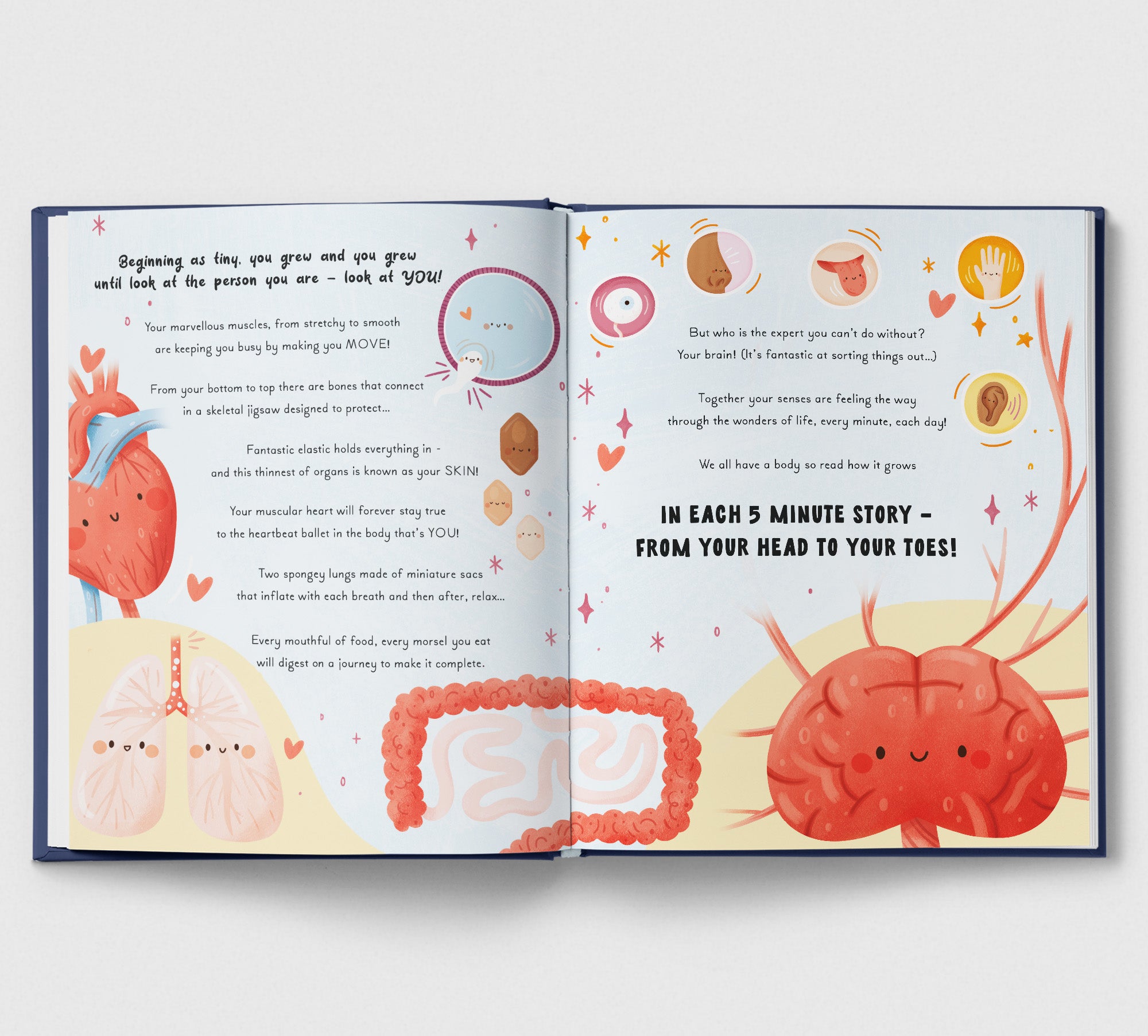 5 Minute Human Body Stories: Science to Read out Loud! – Magic Cat ...