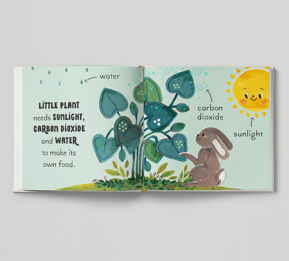 5 Minute Nature Story Box – Magic Cat Publishing
