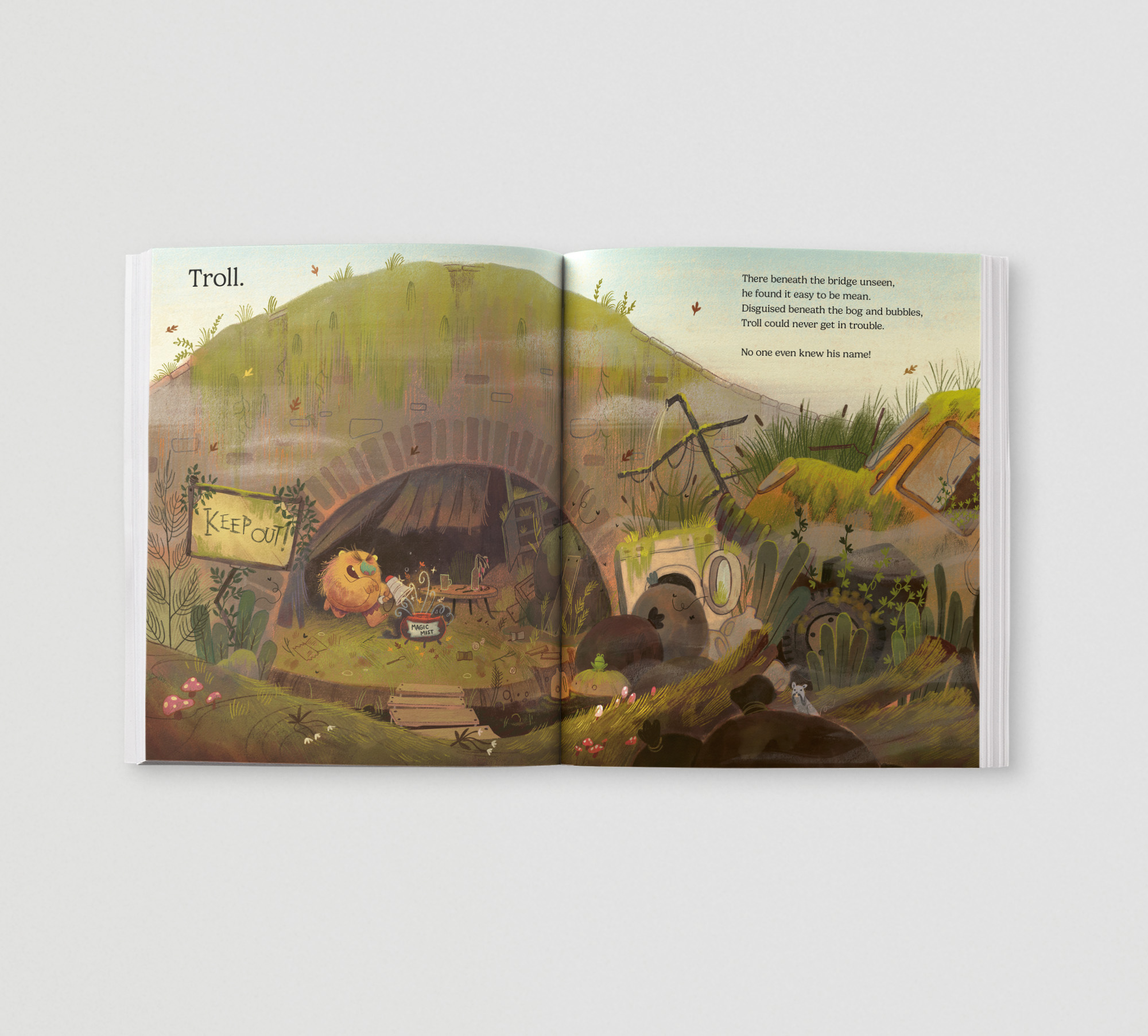 Troll - The Times Children's Book of the Week – Magic Cat Publishing