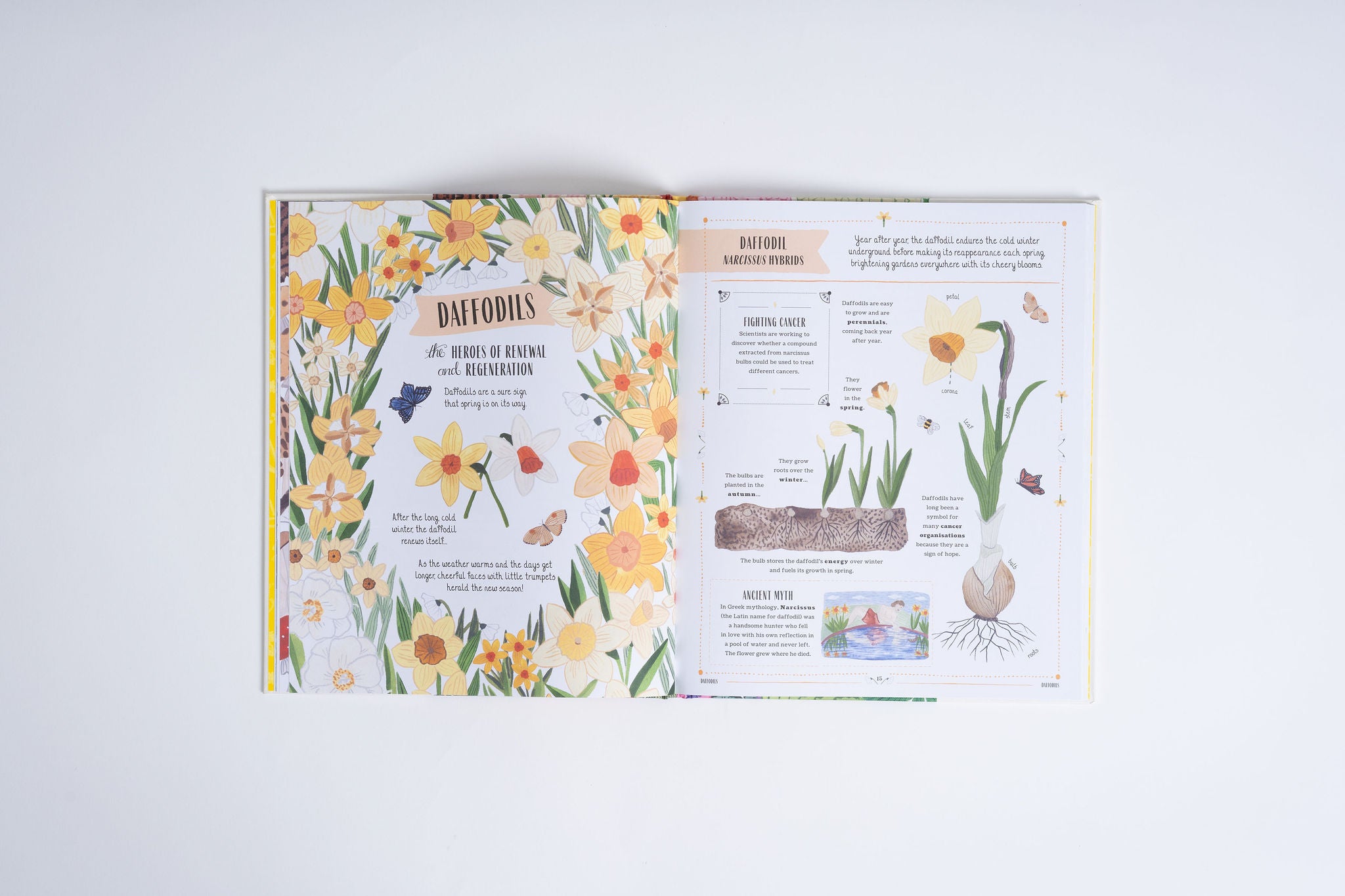 Grow – Magic Cat Publishing