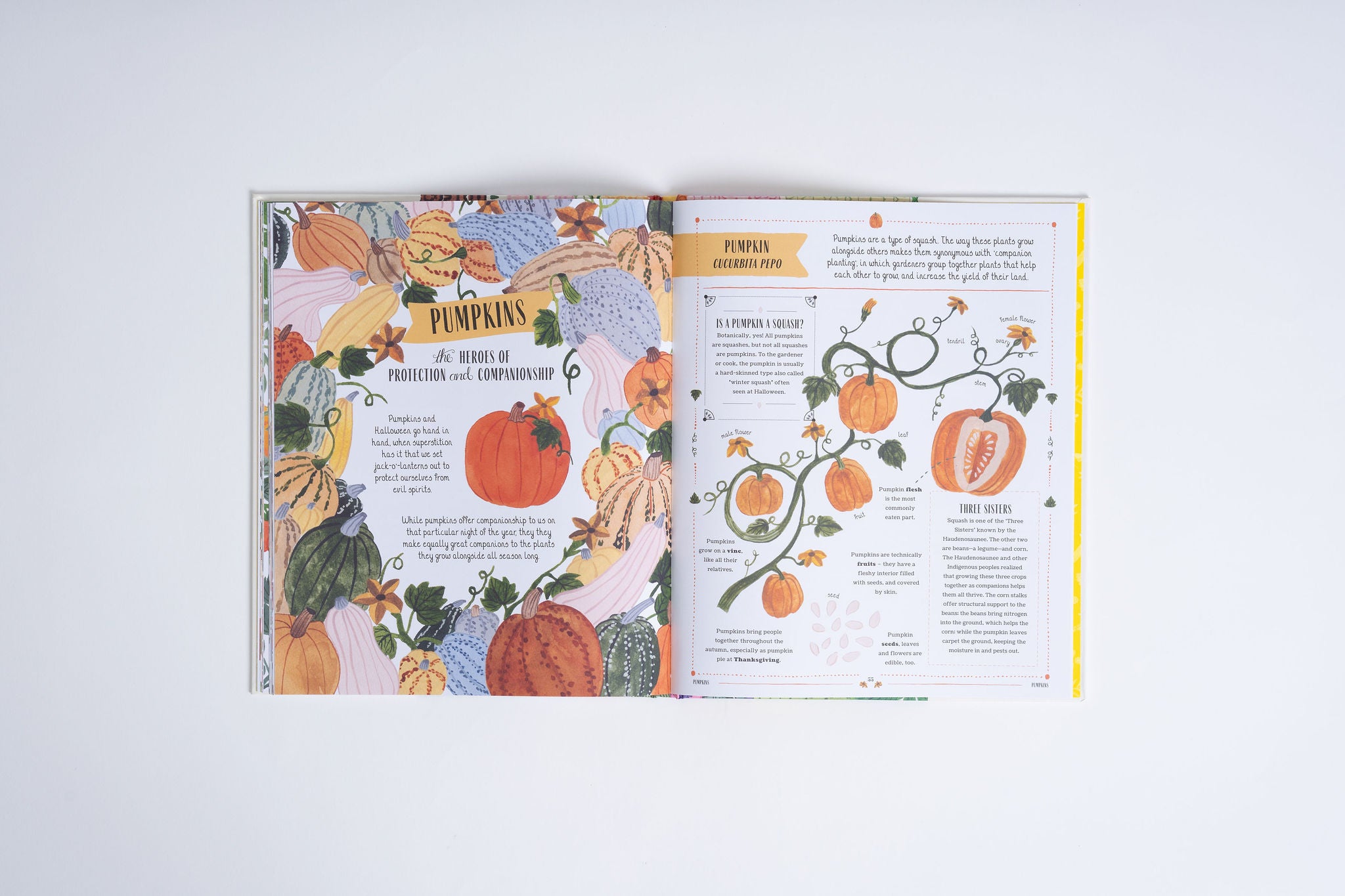 Grow – Magic Cat Publishing