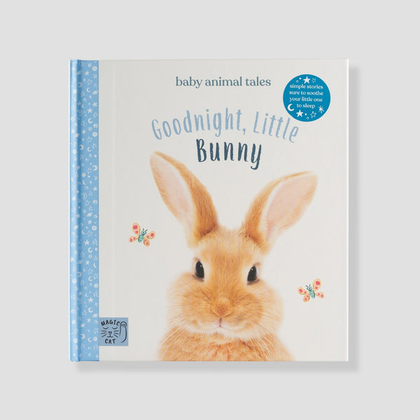 Our Books – Page 8 – Magic Cat Publishing